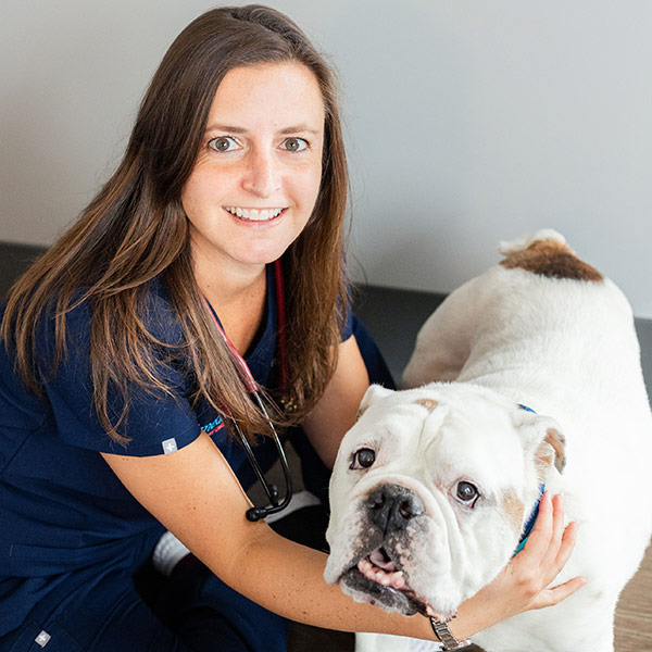 Warwick, RI - PetMedic Urgent Care Vet Clinic