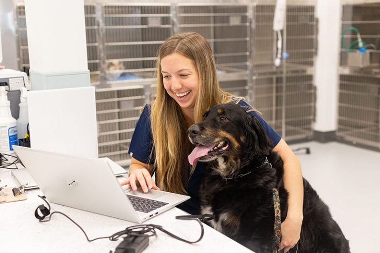 Portsmouth, NH - PetMedic Urgent Care Vet Clinic