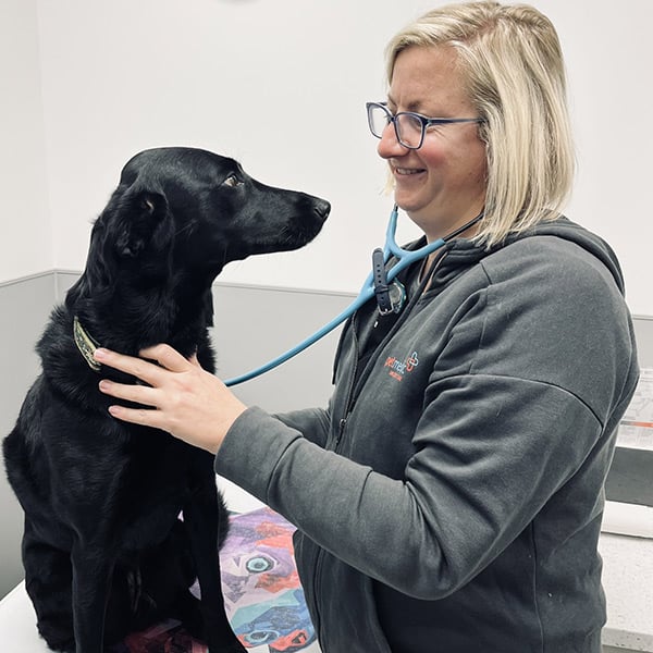 Freeport, ME - PetMedic Urgent Care Vet Clinic