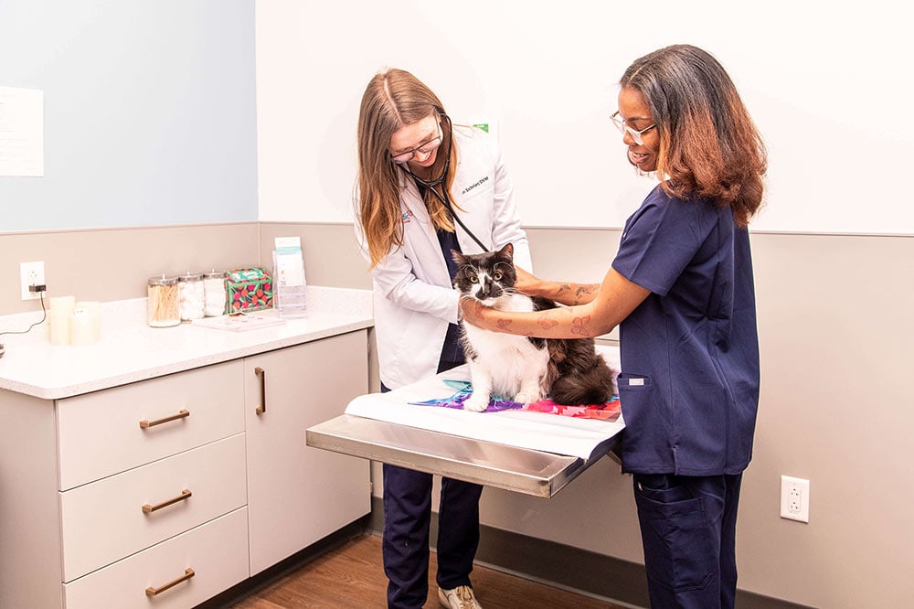Alexandria Urgent Care Veterinarian - PetMedic Urgent Care
